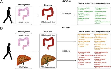 Effects Of Primary Sclerosing Cholangitis On Risks Of Cancer And Death In People With