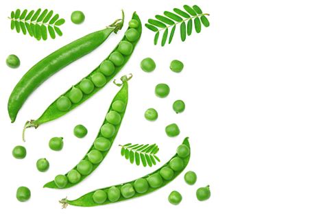 흰색 배경에 고립 된 녹색 완두콩이있는 신선한 녹색 완두콩 포드 클리핑 경로입니다 맨 위 보기 0명에 대한 스톡 사진 및 기타 이미지 Istock