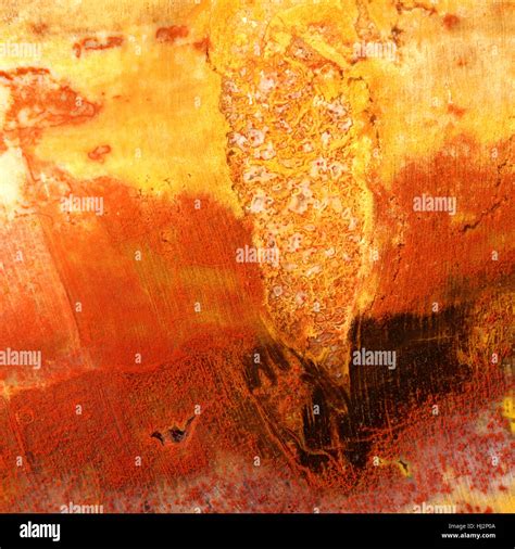 Tree Fossilization Very Old Design Shaping Formation Shape Model