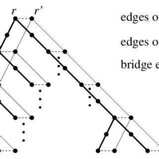 1 An X tree with ½¼¼ Download Scientific Diagram