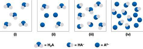 The Following Pictures Represent Solutions That Contain One Mcmurry