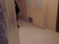 Brunette Tit Flash Porn Gif Pornhub Com Brunette Tit Flash Porn Gif Pornhub Com