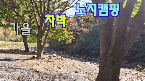 가을 차박 노지캠핑 끝자락 얼릉와요 노지캠핑 노지캠핑장 캠핑 차박 Youtube