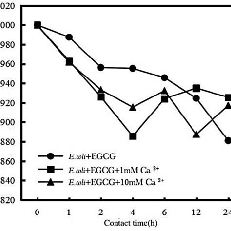 Attenuation Of Egcg Under Different Conditions Download Scientific