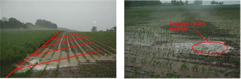 Example Pictures From Event E2 Ponding Overland Flow In A Drained Download Scientific Diagram