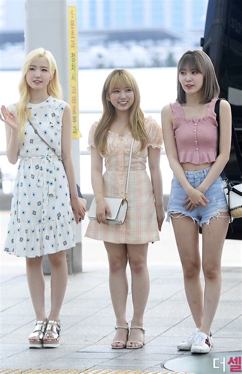 Nako Izone Since Ko Zone Has Been One Of Most Accredited Martial