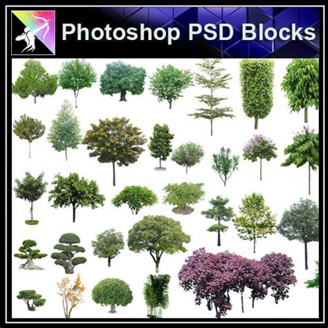 Tree And Plants Photoshop Tree And Plants Photoshop