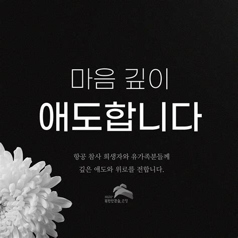 항공 참사 희생자와 유가족분들께 깊은 애도와 위로를 전합니다 서울특별시 은평구 공공기관 당근 비즈 소식