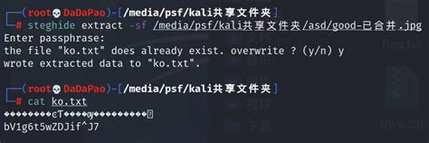 Buuctf Misc 九连环 《互花米草的ctf刷题笔记》 极客文档