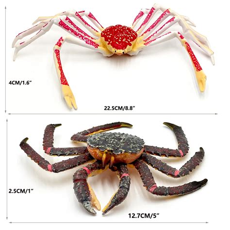 Japanese Spider Crab
