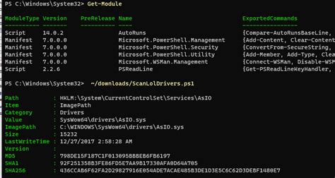 Scan Lol Drivers With Autoruns Powershell Module