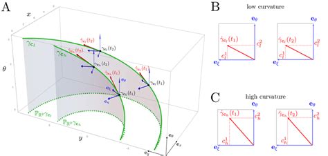 A Two Exponential Curves γ C H And γ C L In Se2 With High And Low Download Scientific
