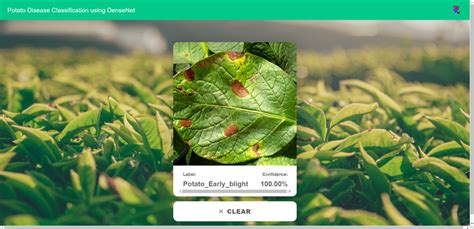 Github M Zeeshanhaider Potato Disease Classification Using Densenet A Dense Convolutional