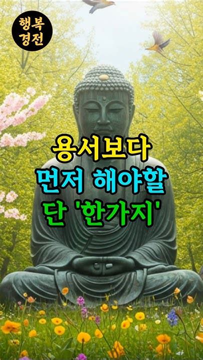 용서보다 먼저 해야할 한가지 부처님말씀 불교명언 감정치유 마음회복 내려놓음 지혜 용서 Youtube