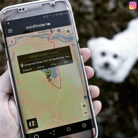 Mini GPS-tracker till katt – MiniFinder Atto Pro 4G