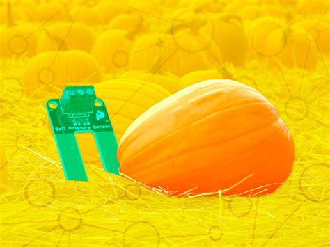 Iot Sensors Help Deliver Pumpkins Each Season Iot Sensors Help Deliver Pumpkins Each Season