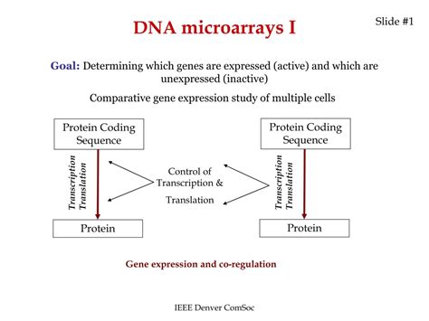 ppt quality and error control coding for dna microarrays powerpoint