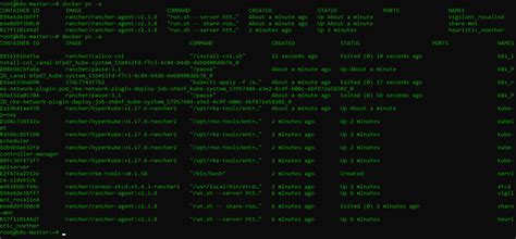 Phần 1 Hướng Dẫn Cài Và Quản Lý Kubernetes Cluster Với Rancher Version 238 Trên Ubuntu