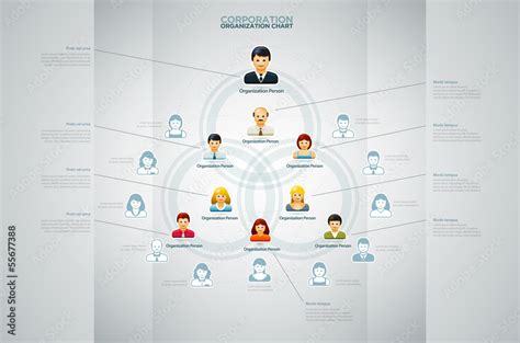 Organization Chart Stock Vector Adobe Stock