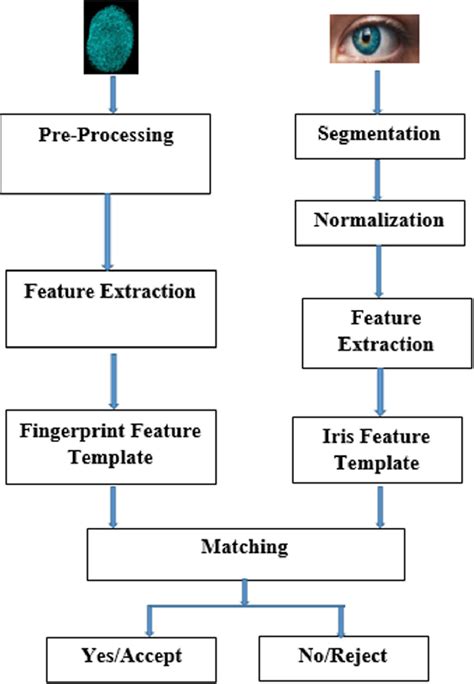 multimodal biometric steps for authentication mubas considers a trusted