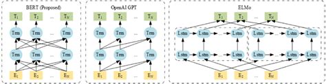 Structure Of Elmo Gpt And Bert Download Scientific Diagram