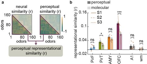 High Precision Mapping Reveals The Structure Of Odor Coding In The