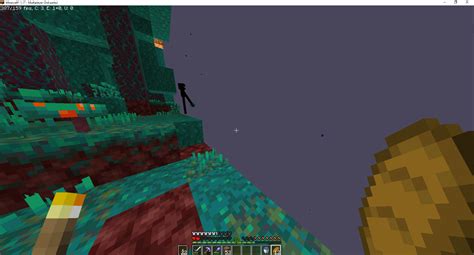 Chunks Not Loading In 117 Minecraft