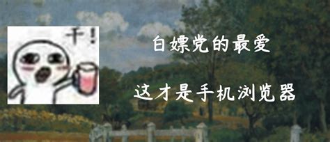 软件推荐 白嫖党的最爱，这才是手机浏览器 知乎