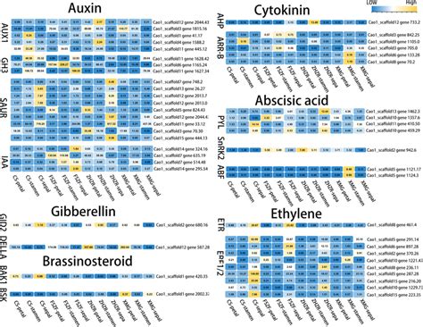 Expression Heatmap Of The Degs Involved In Plant Hormone Pathways