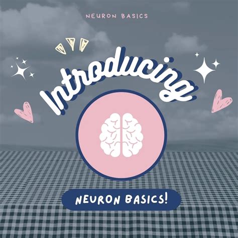 Neuron Basics Neuroscience And Nutrition Neuronbasics • Instagram