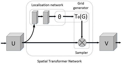 Stn Based Autism Brain Magnetic Resonance Image Visualization Method Eureka Patsnap