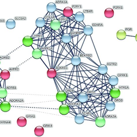 String Protein Association Network For Bp Cx 1 And Chembl Compounds
