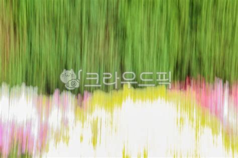 여백 배경 카피스페이스 수채화느낌 블러 사진이미지일러스트캘리그라피 Emmayoon작가