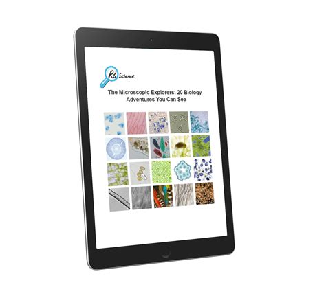 What Is A Microscope Function And Magnification Rs Science