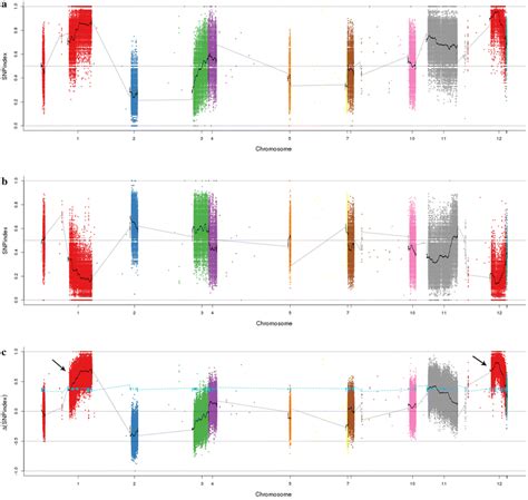 Snp Index Manhattan Plot Of L Pool S Pool And ∆ Snp Index From The