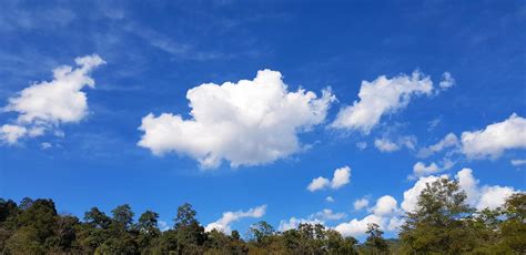 Beautiful Blue Sky With White Cloud And Green Tree Forest Or Jungle