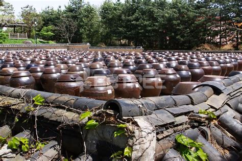 한국의 장독대 장독대 Onepro 사진 한국 토속적 옛스러움 장독대 항아리 단지 여행지 나무 잎사귀 숲 풍경 한국풍경 뚜껑 항아리뚜껑 간장