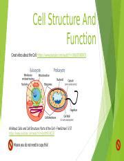 Ppt Cell Structure And Function With Questions Pptx Cell Structure And Function Great