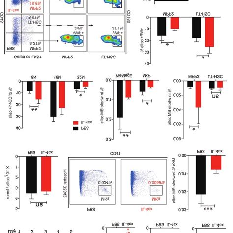 Reduced Megakaryocyte Differentiation Of Long Term Hematopoietic Stem