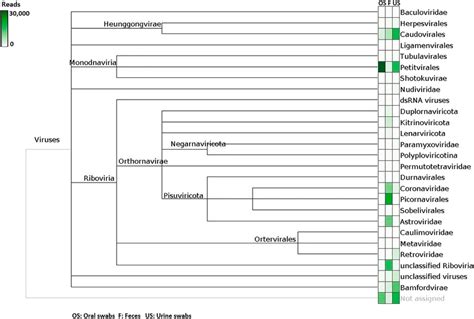 Normalized Comparison Of Viral Hits From Different Sample Types In Download Scientific Diagram