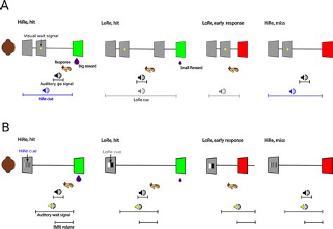 Auditory Task With High Or Low Reward Auditory Or Visual Cues Download Scientific Diagram