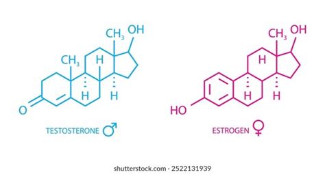 Estrogen Testosterone Hormones Symbol Sex Hormones Stock Vector Royalty Free 1420545650
