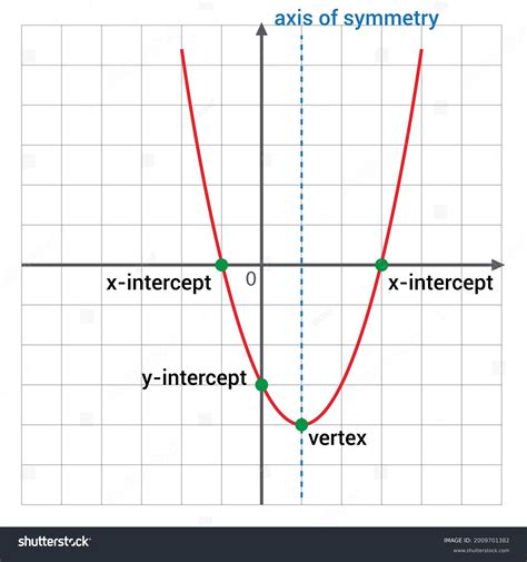 Quadratic Functions 9th Grade Quiz Quizizz