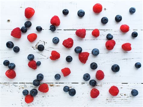 배경 화면 블루 베리 라즈베리 나무 배경 1920x1200 그림 이미지