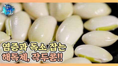 염증과 독소 잡는 해독제 작두콩 Mbn 230929 방송 Youtube