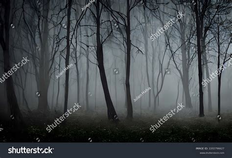 Black White Dark Forest Illustration Stock Illustration 2202796627