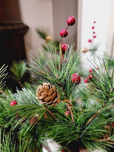 Fake Pine Needles Stock Image Image Of Fake Berry 239312769