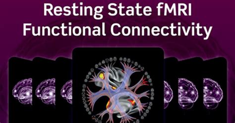 An Introduction To Resting State Fmri Functional Connectivity Oxford Neuroimaging Primers