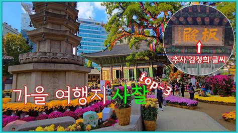 서울 도심속 사찰 가을단풍 풍경 길상사 조계사 봉은사 20024 11 03 Youtube