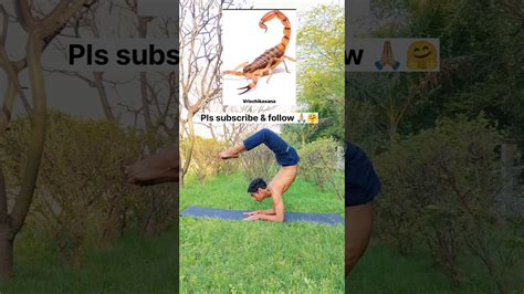 Yoga Poses With Examples Trending Shorts Yoga Asana Poses Sports Health Exercise Song